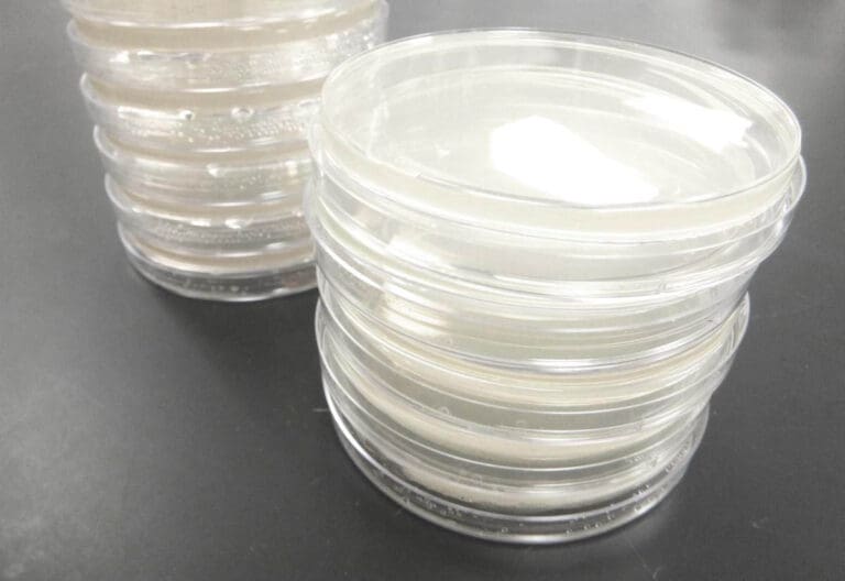 ASTM E2315 Time-Kill Test | Liquid Suspension Time-Kill Test