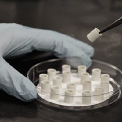 Microchem Laboratory | Good Science Starts With Great Scientists