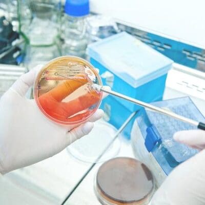Testing Services | Microchem Laboratory