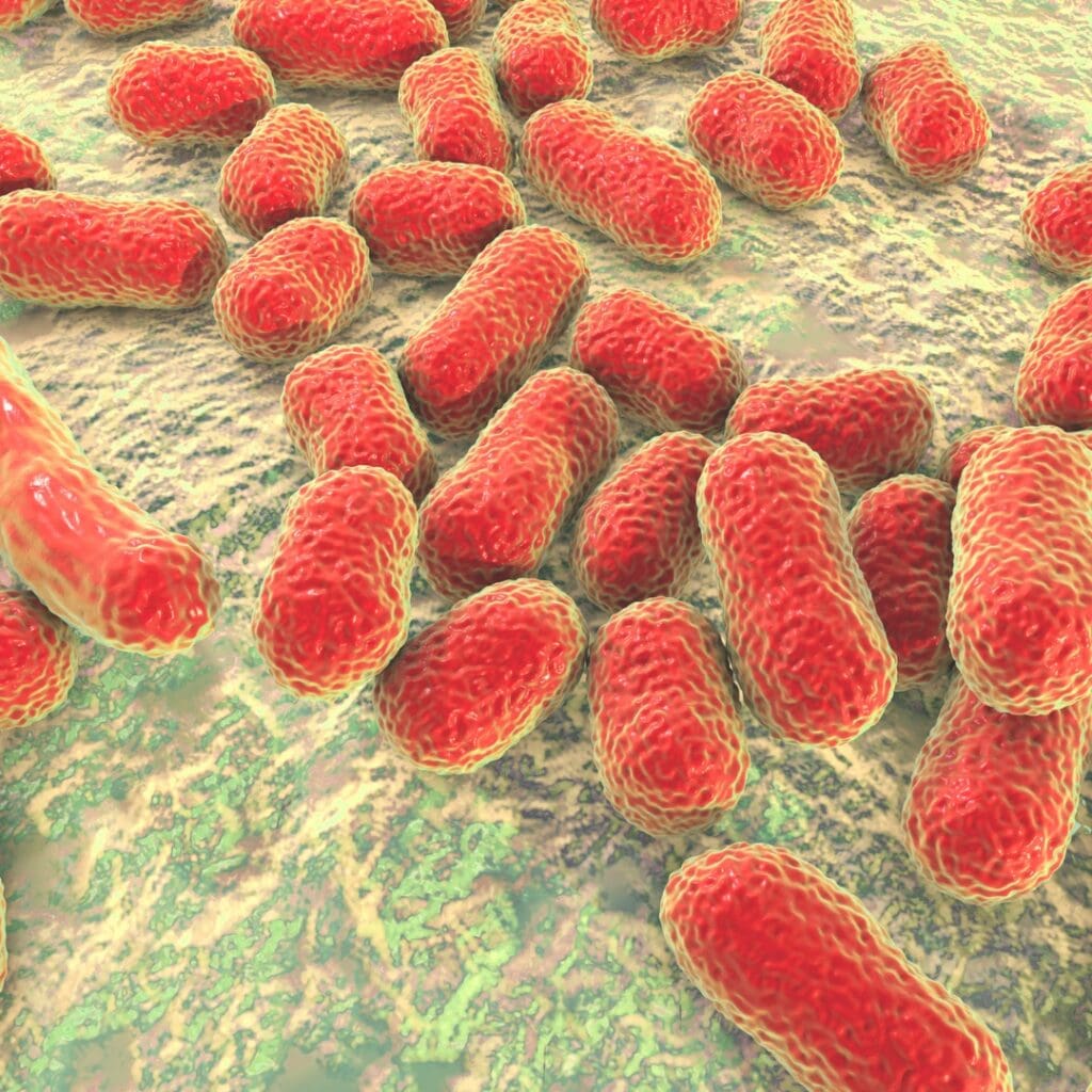 Zone of Inhibition Test for Antimicrobial Activity | Microchem Laboratory