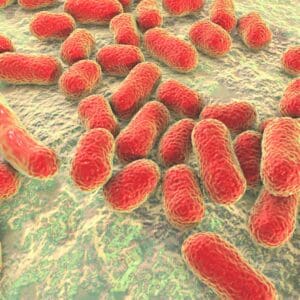 Microchem Laboratory | Antimicrobial Test Laboratories | Microchem ...