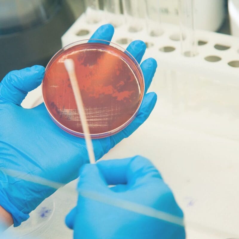 Microchem Regulatory Compliance Snapshot: ISO 17025, GMP & GLP ...