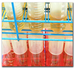 USP - Microbial Enumeration Test - Microchem Laboratory
